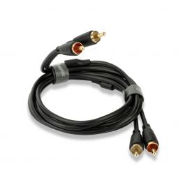 Connect Phono to Phono Cable